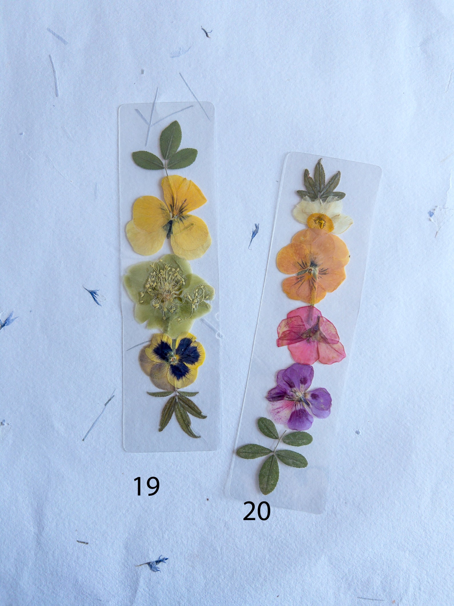 Transparent Pressed Flower Bookmark Mixed Flowers Handmade - Etsy