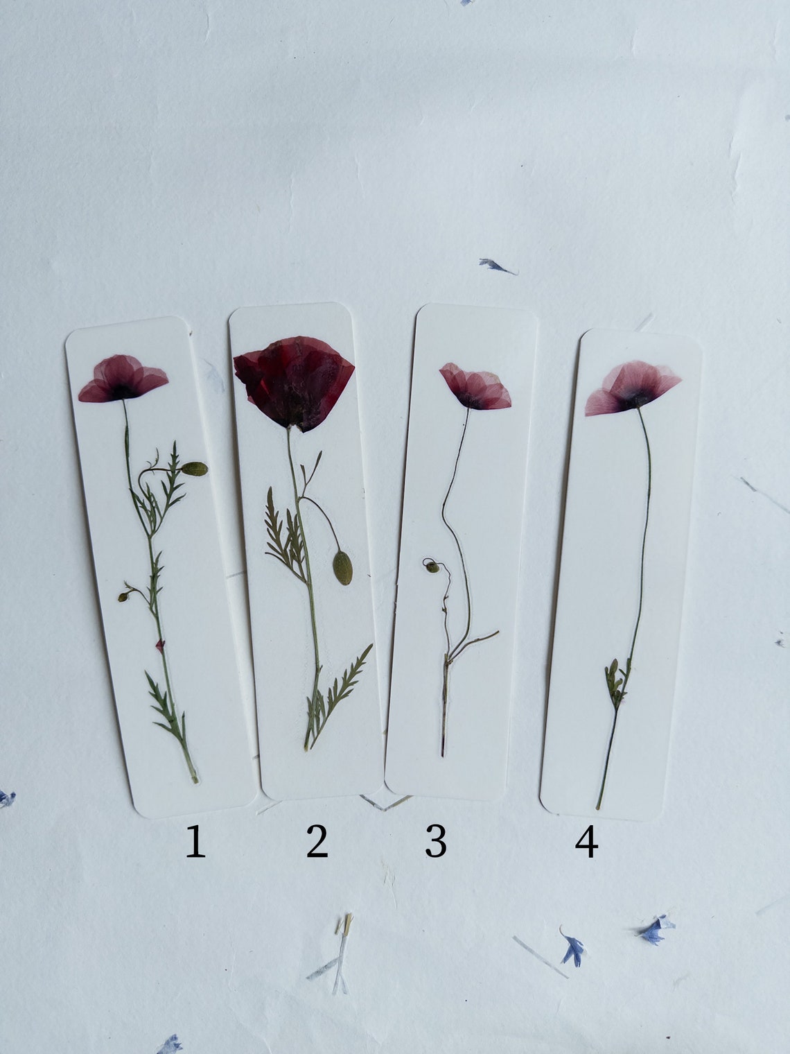 Common Poppy Bookmark pressed Flower Bookmark Corn Poppy - Etsy