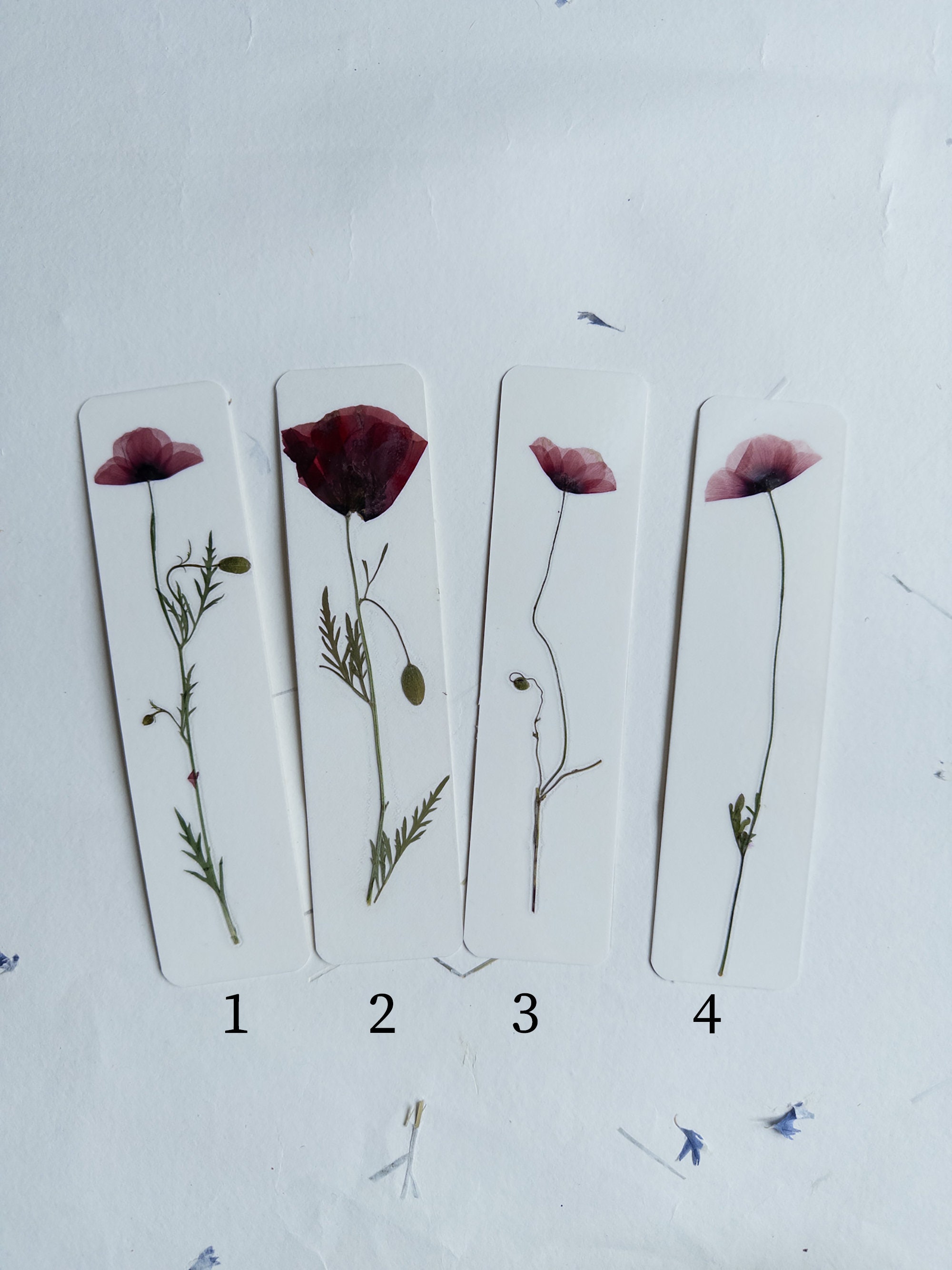 Common Poppy Bookmark pressed Flower Bookmark Corn Poppy - Etsy