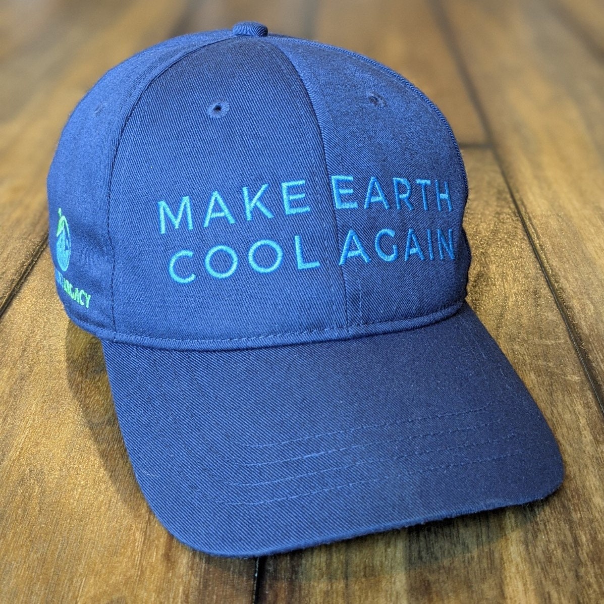 Make Earth Cool Again Hat | Embroidered Recycled Plastic Cap | Climate ...