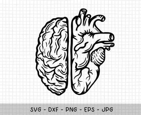Brain and Heart SVG Anatomy Design Digital Download - Etsy