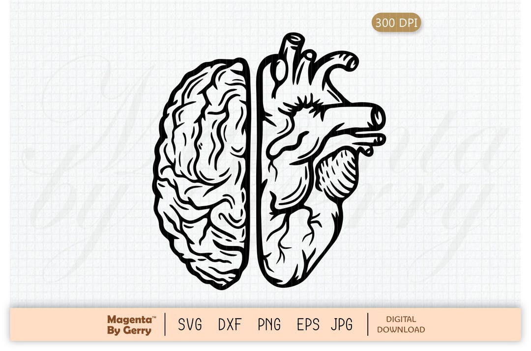 Brain and Heart SVG, Anatomy Design, Digital Download - Etsy