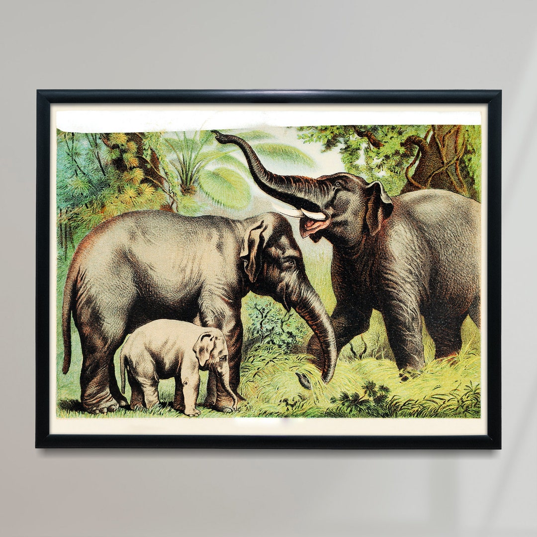 Asiatic Elephant Vintage Poster, Two Elephants and a Calf Retro Print ...