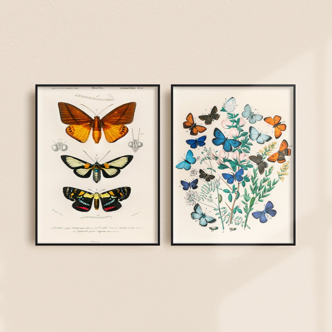 Set of 2 Vintage Butterflies Posters, Retro Butterflies Ads ...