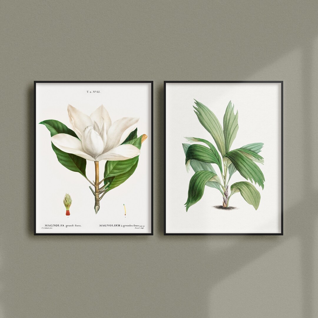 Set of 2 Vintage Botanical Posters, Retro Botanical Ads, Plants Antique ...
