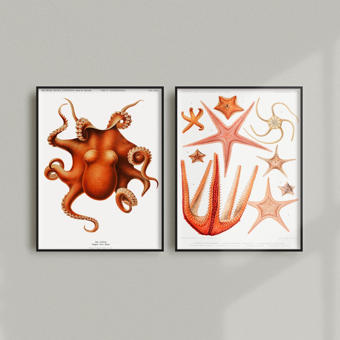Set of 2 Vintage Sea Life Posters, Retro Sea Life Ads, Fish Sea Life ...