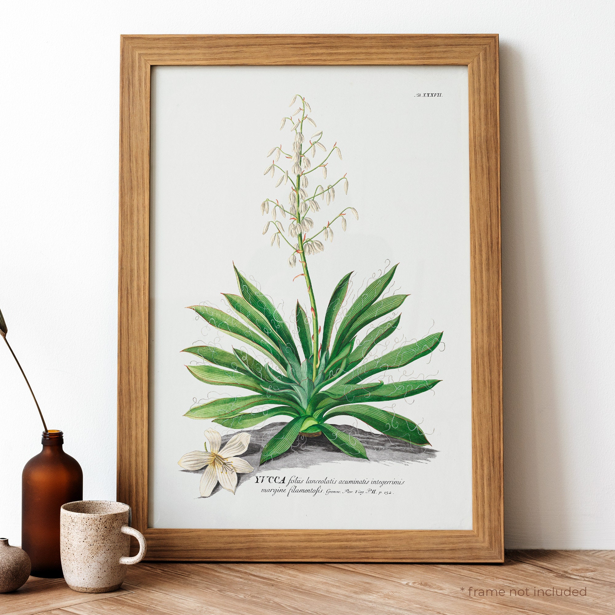 Yucca Vintage Poster Yucca Plant Retro Print Yucca Plant - Etsy