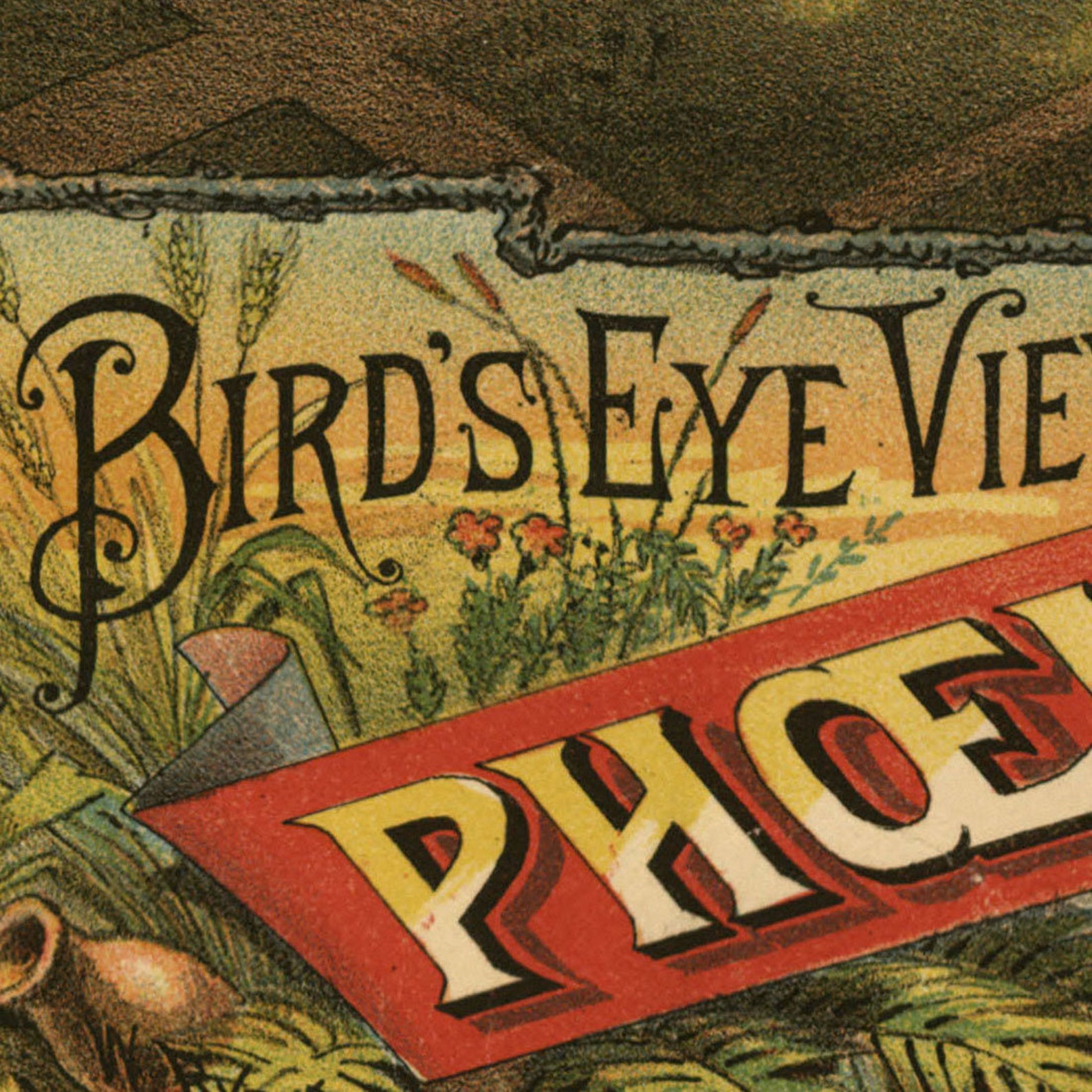 1885 Phoenix Aerial Map Antique Map of Phoenix Old - Etsy