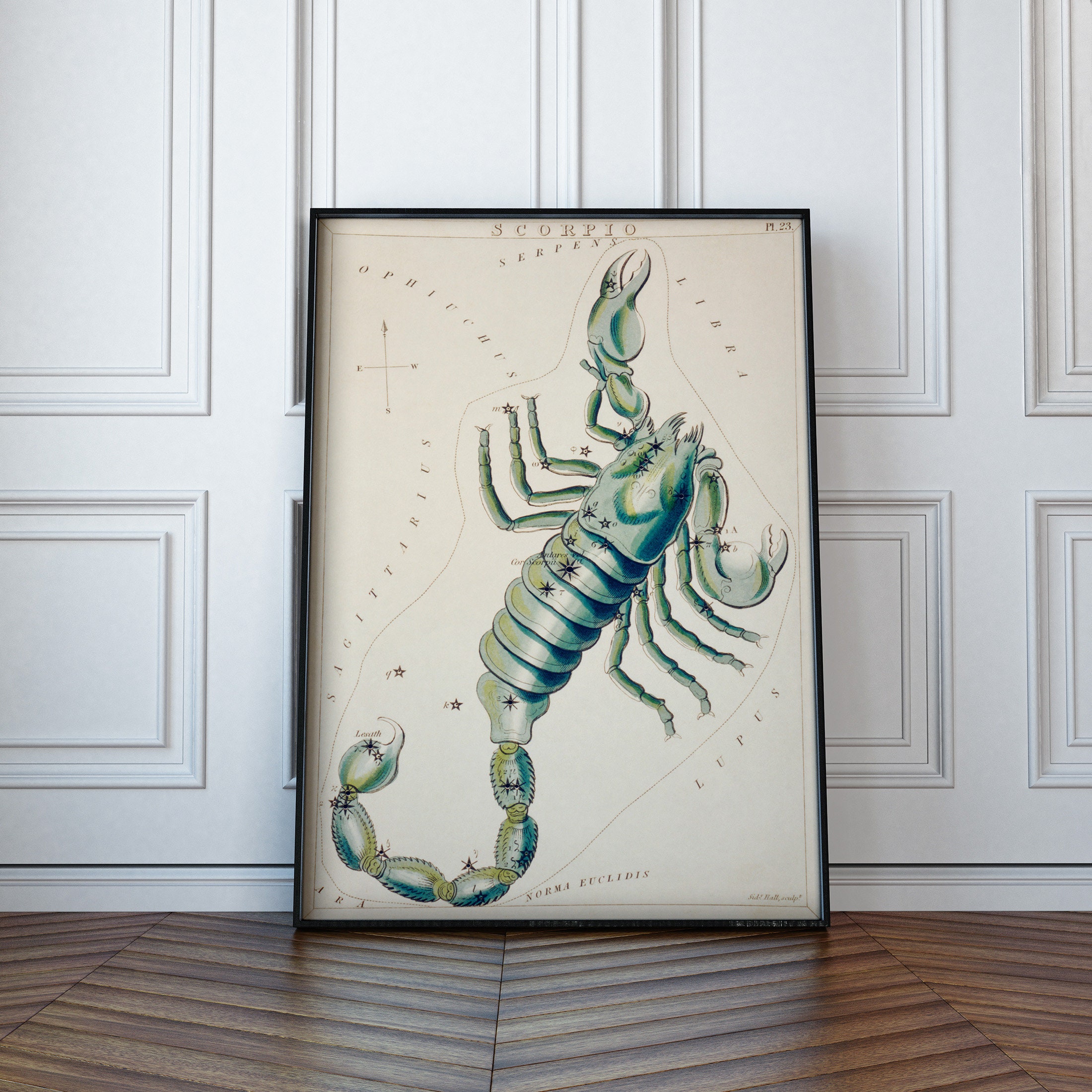 1831 Astronomical Chart of the Scorpio Map Scorpio Zodiac - Etsy