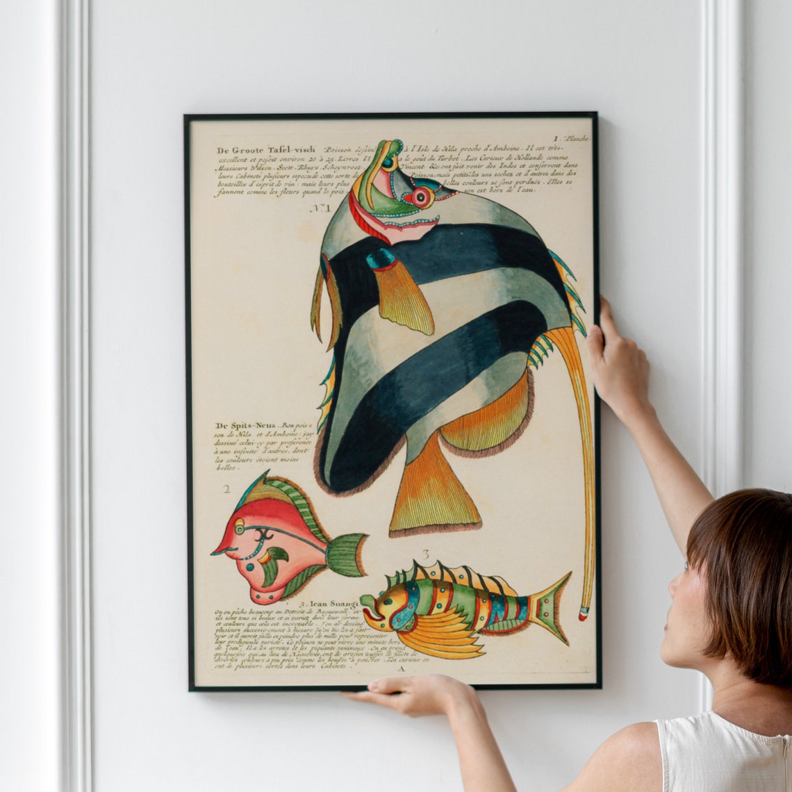 Fishes found in Moluccas Vintage Poster Colourful Mix of Fish | Etsy