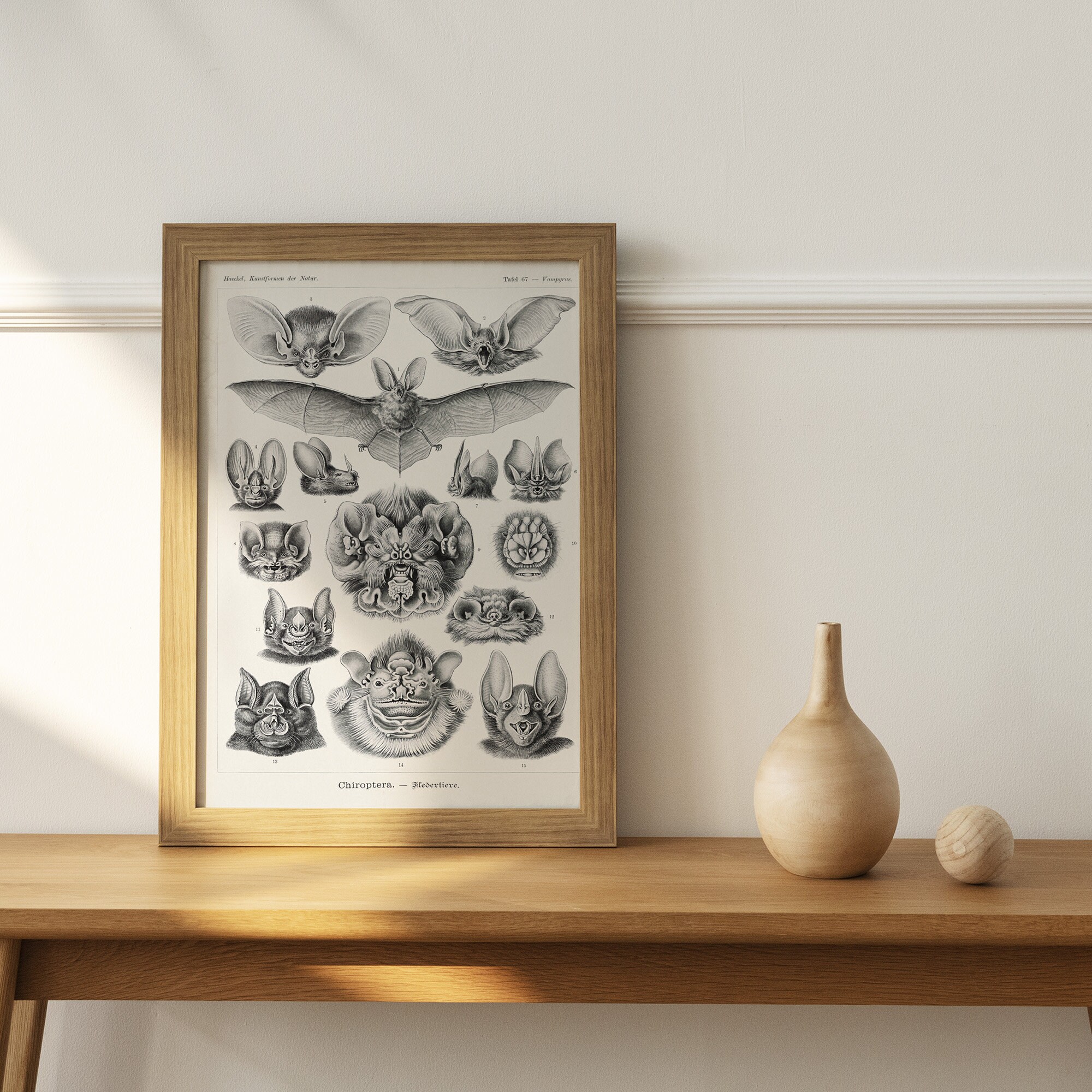 Ernst Haeckel Poster Bats Vintage Poster Bats Retro Print - Etsy