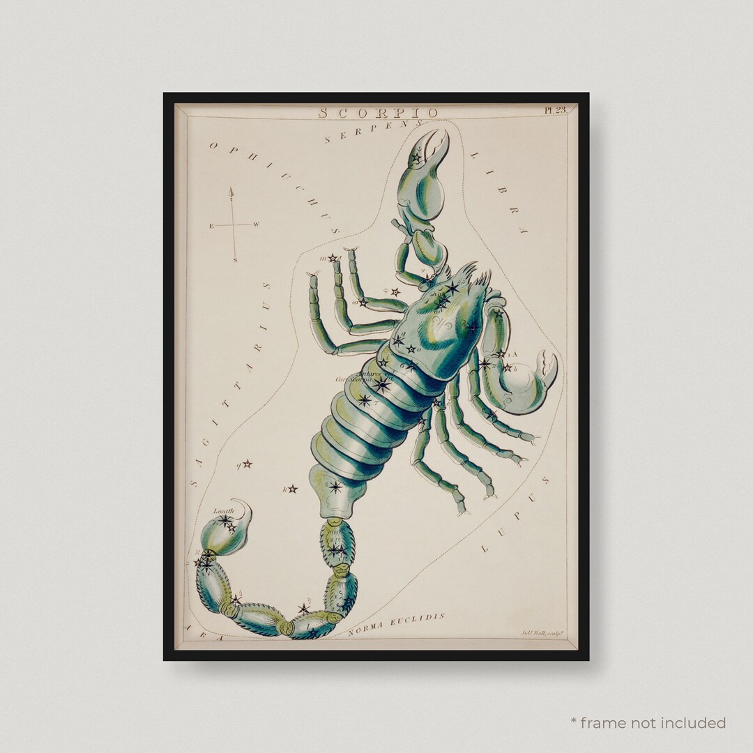 1831 Astronomical Chart of the Scorpio Map, Scorpio Zodiac Antique Map ...