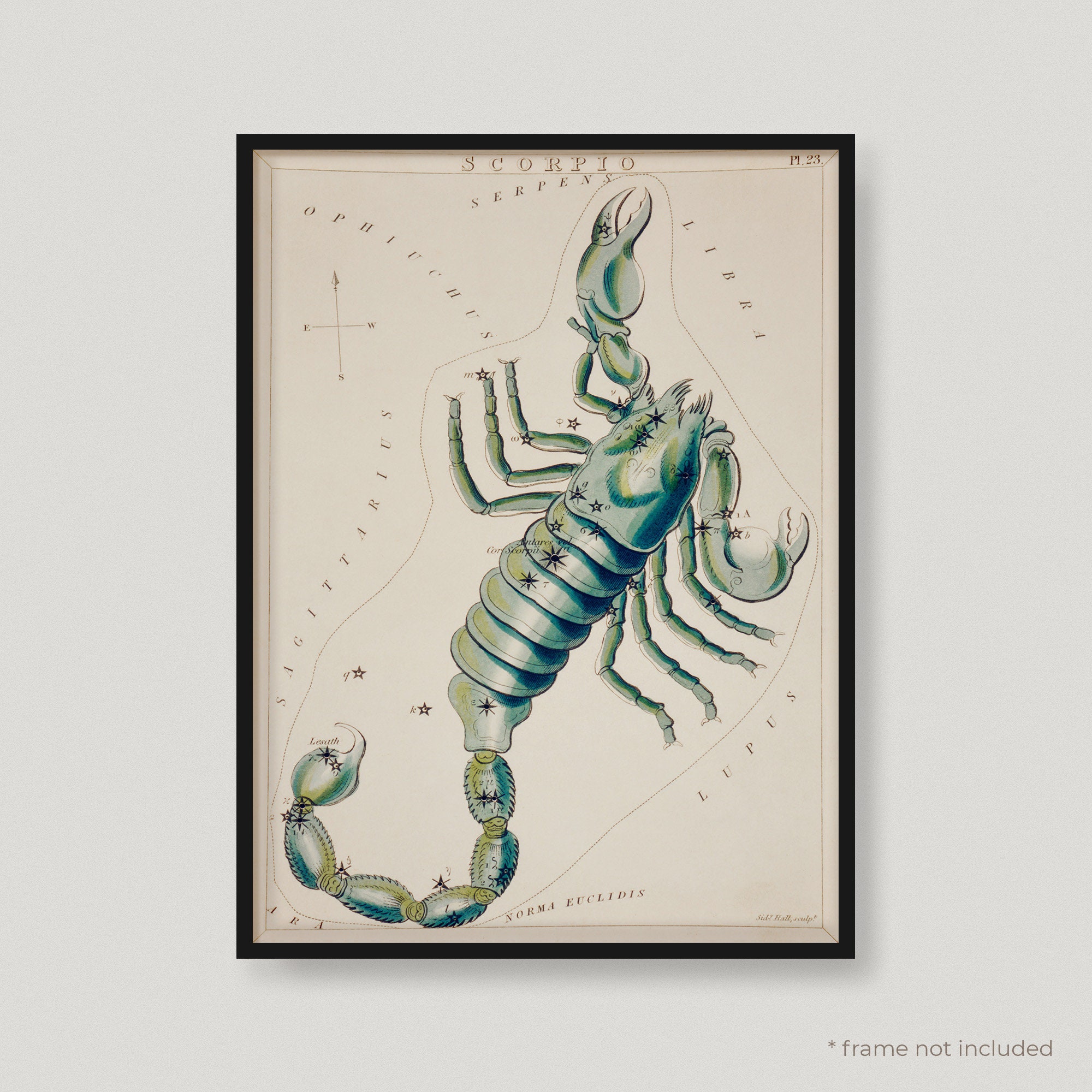 1831 Astronomical Chart of the Scorpio Map Scorpio Zodiac - Etsy