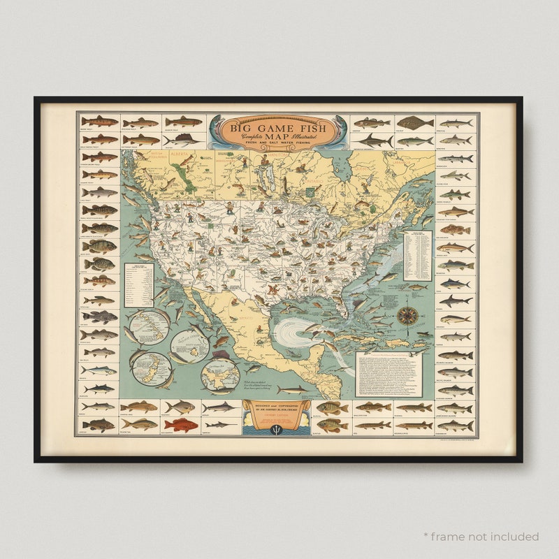 Antique Fish Map - Etsy