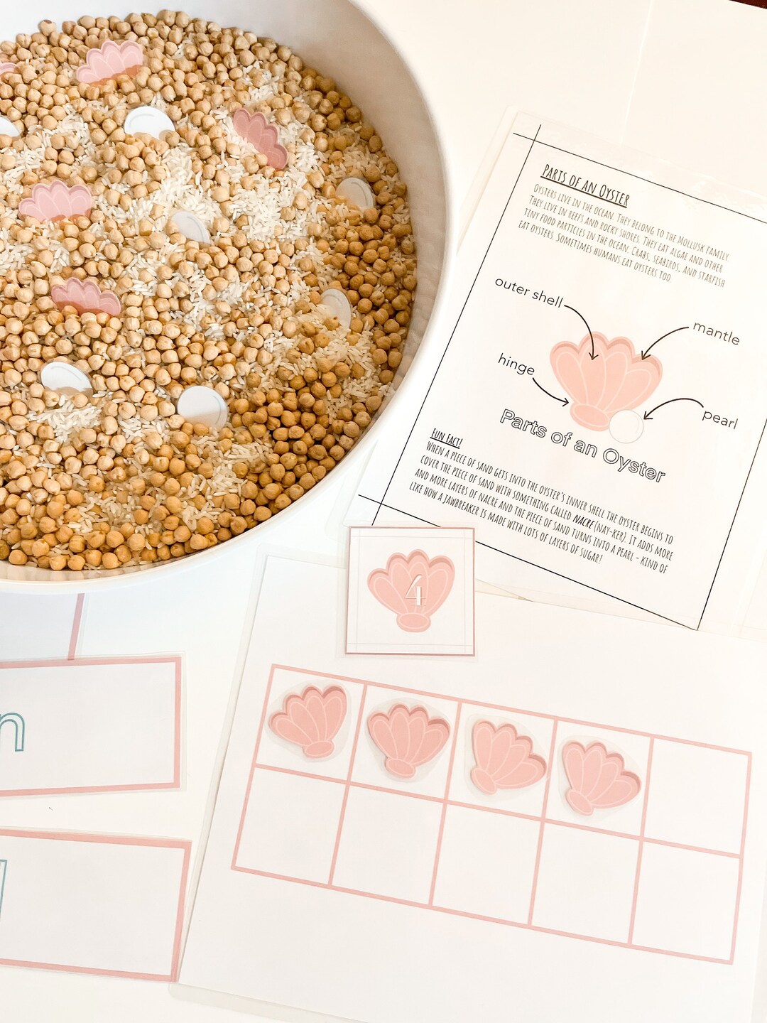 Pearl Counting Sensory Kit - Etsy