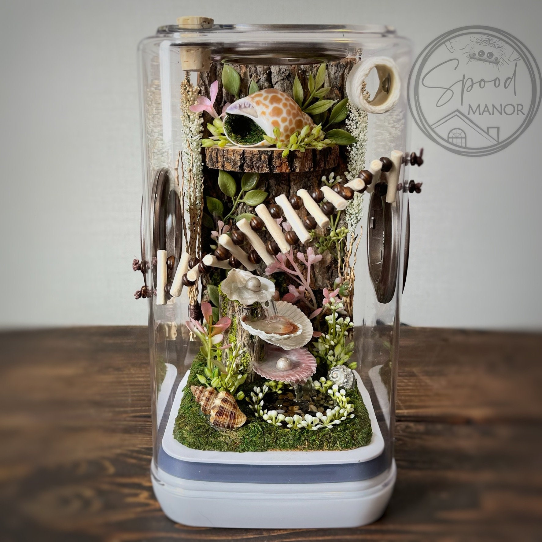 Pre-order Deluxe Jumping Spider Enclosure - Etsy