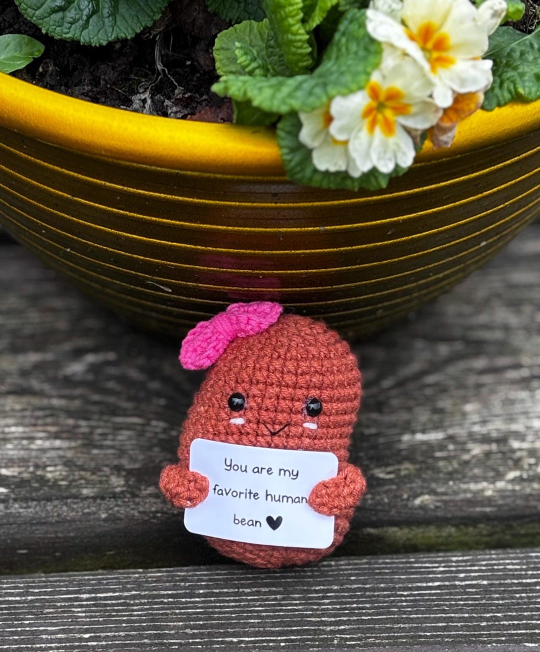 Positive Bean Youre My Favourite Human Bean Positive Gifts last ...