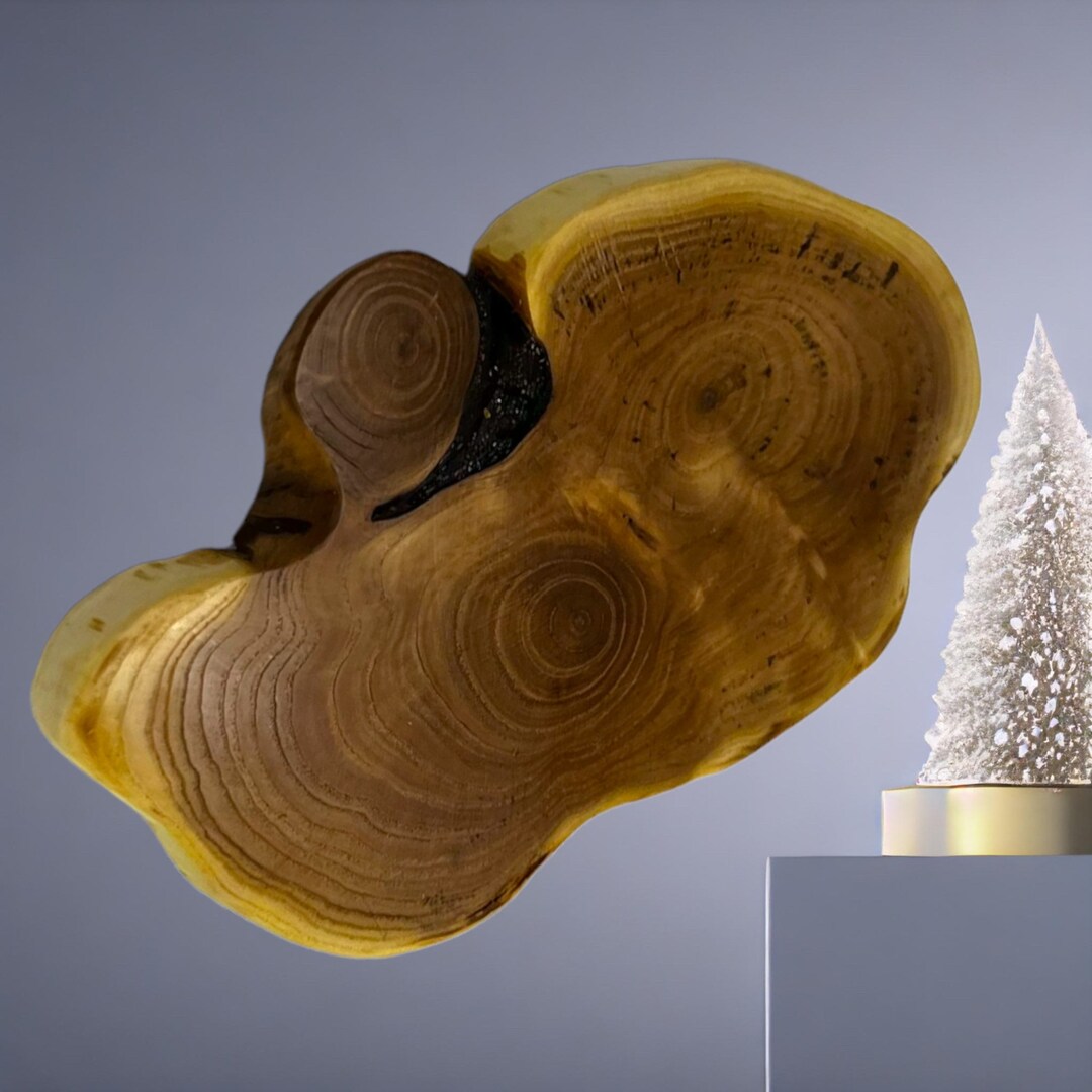 Customizable French Barrett Hair Clip in Sea Buckthorn Wood - Etsy