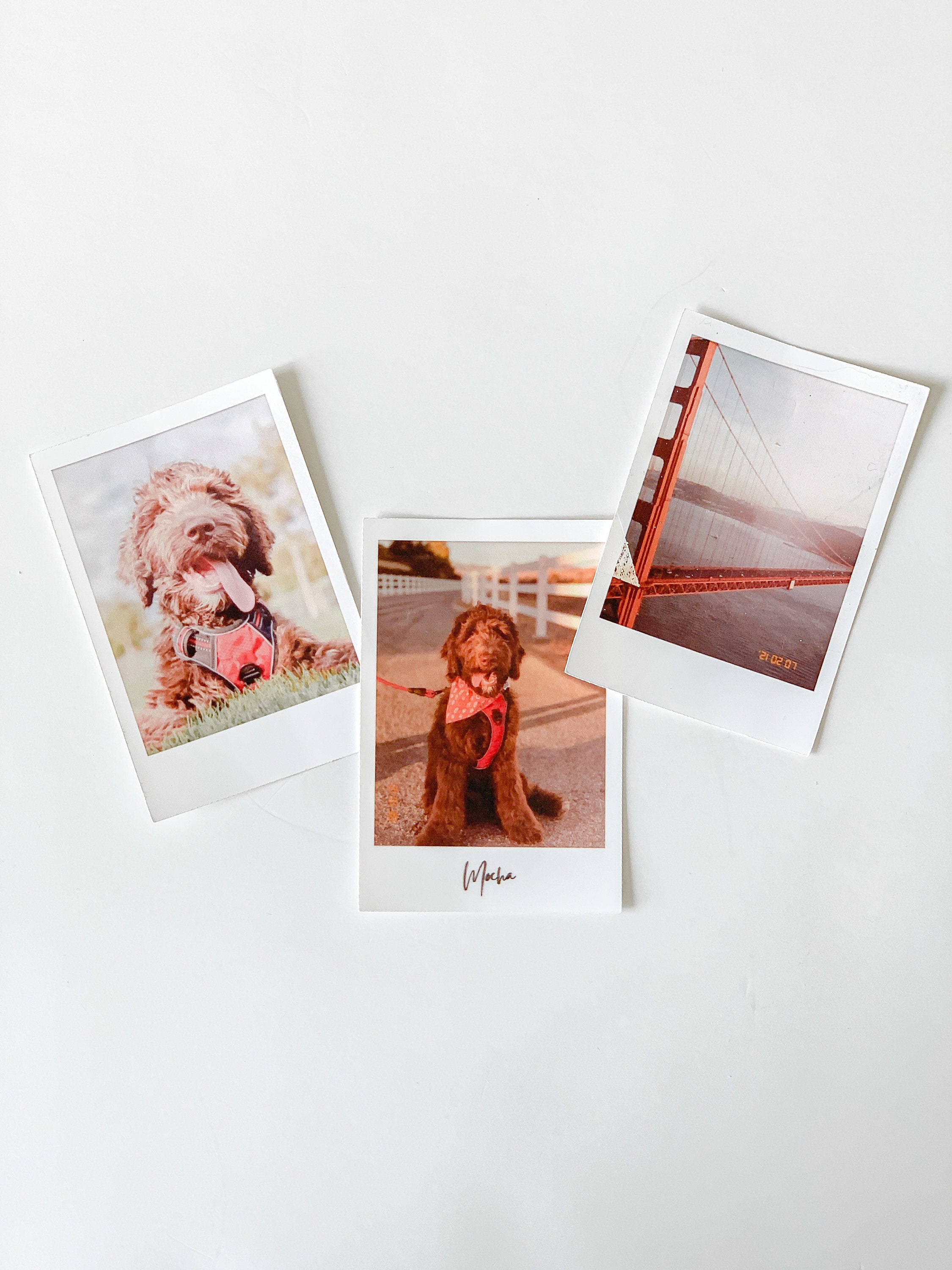 CUSTOM Instant Film Style Sticker Waterproof Stickers for | Etsy