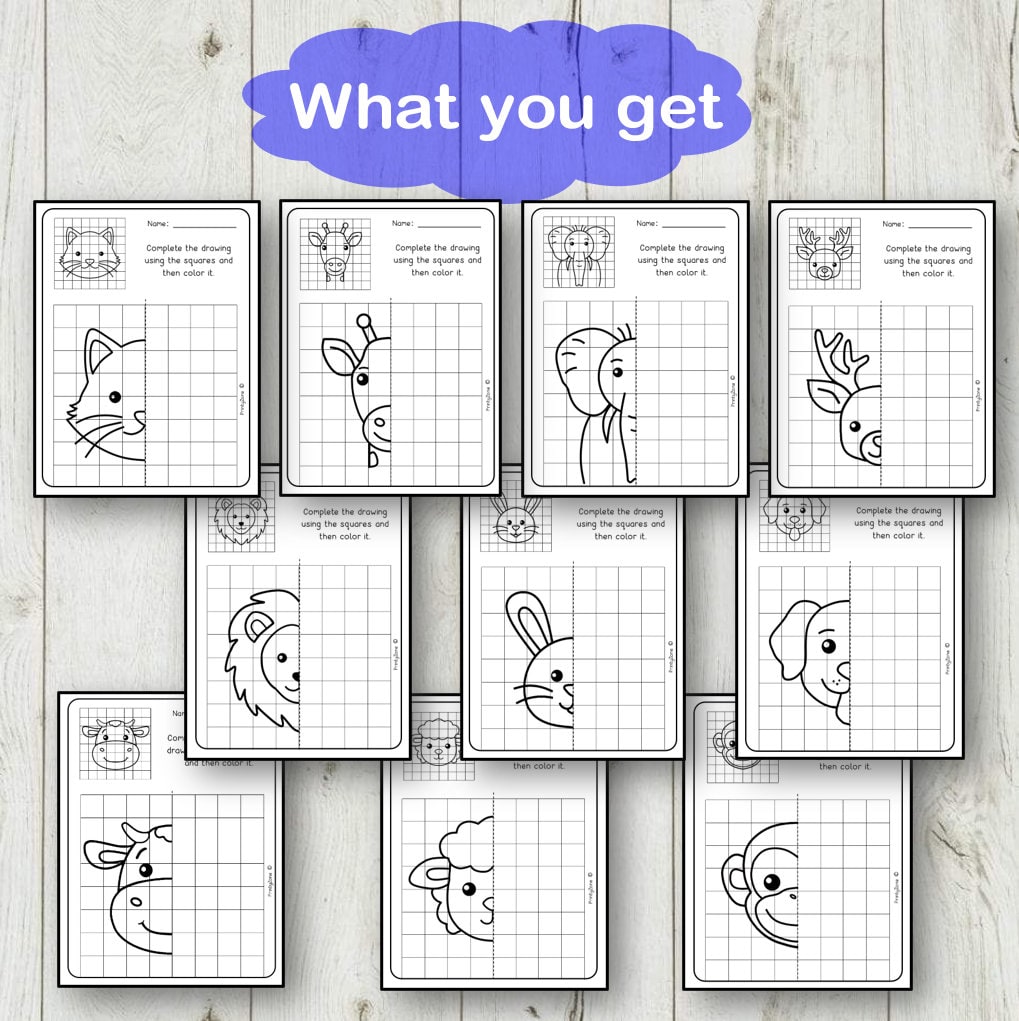 Symmetry Drawing, Symmetry Animal Drawing Pack, Symmetry Drawing ...