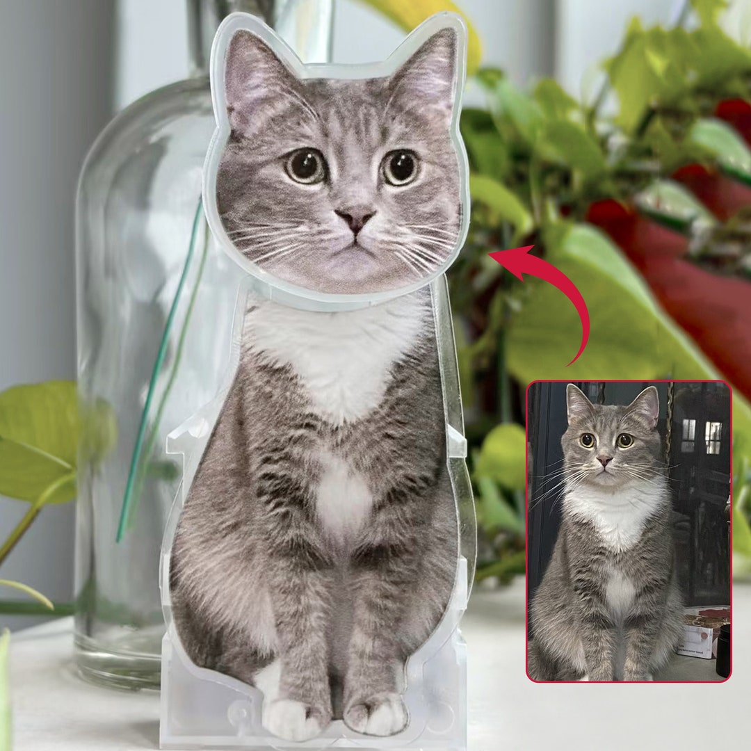 Custom Acrylic Pet Photo Bobblehead, Personalized Cat\dog Picture Shake ...