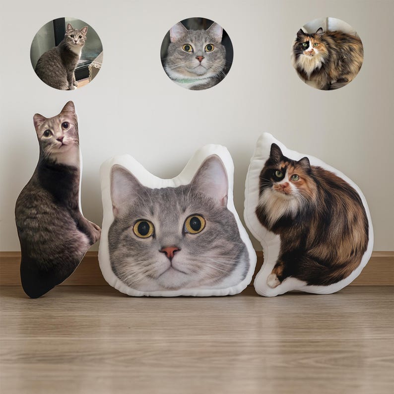 Custom Face Pillow: Personalized Photo Gift, Funny Gag Gift - Etsy