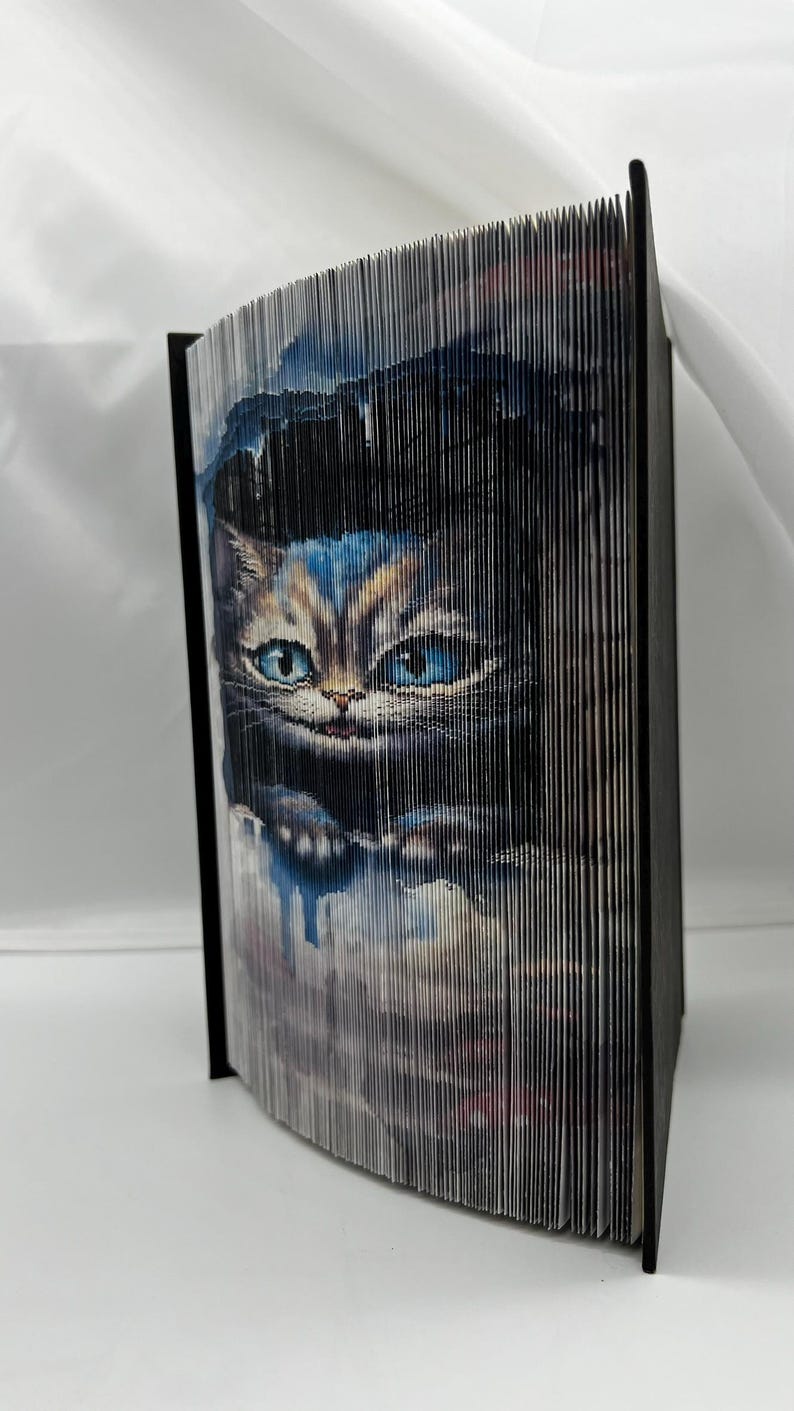ALICE and CAT - LENTICULAR Fore-edge Photo Strip Book Fold Pattern Only ...
