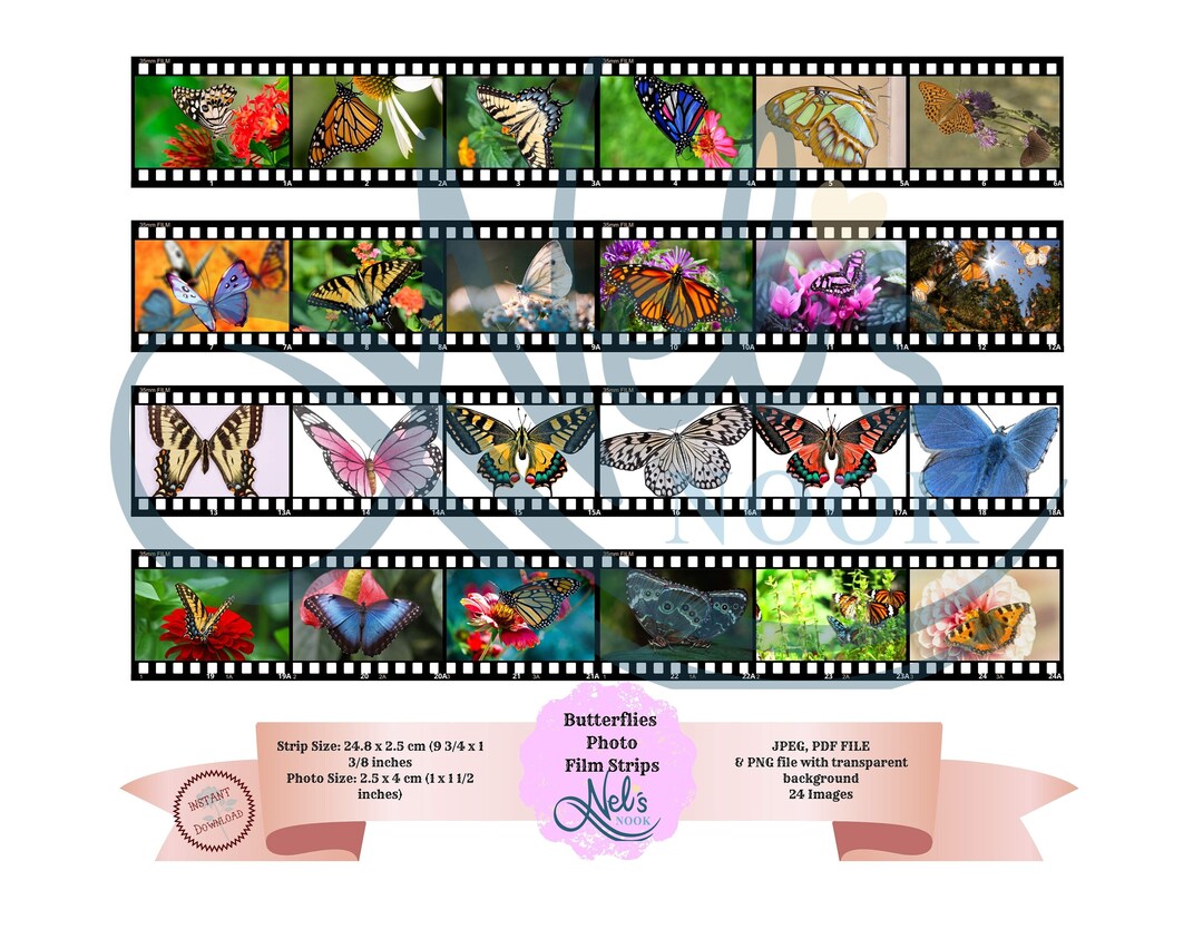 BUTTERFLIES Photo Film Strips/printable Film Strips, Photo, Digital ...