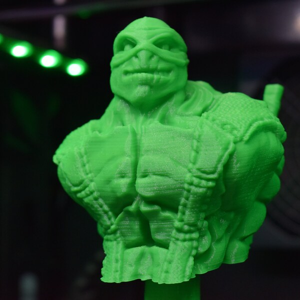 3d Printed Teenage Mutant Ninja Turtle - Etsy