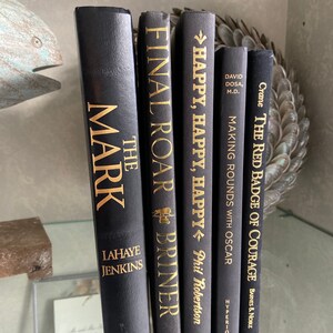 BLACK and GOLD Decorative BOOKS - 5 Color Block Books in Black With ...