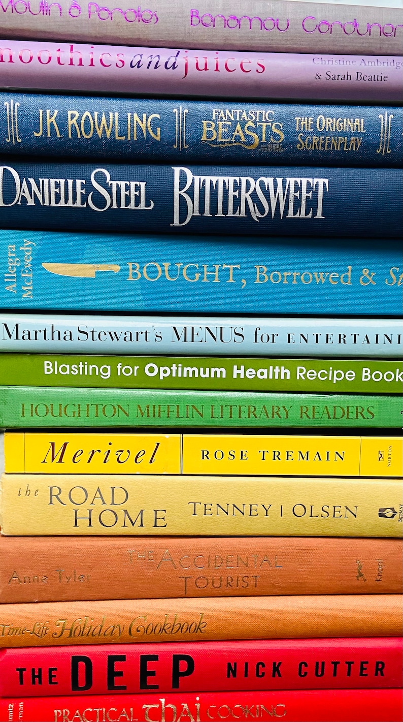 Bookcase Perfection SINGLE BOOK by Color.rainbow Decorative - Etsy