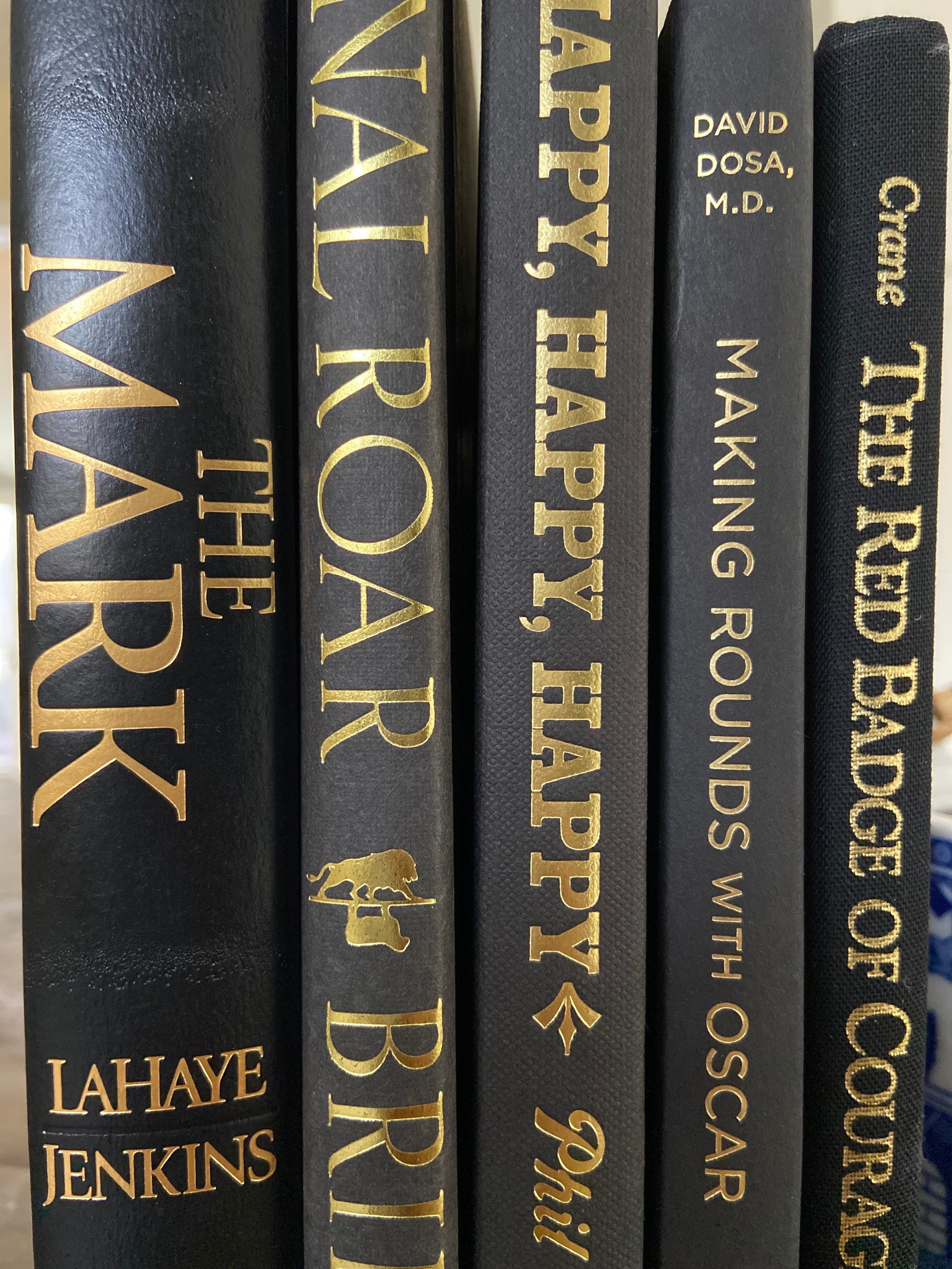 BLACK and GOLD Decorative BOOKS 5 Color Block Books in Black | Etsy