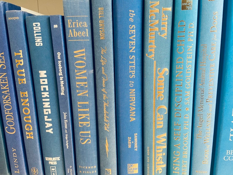 Bookcase of Moody Blues Color Curated Decorative Books | Etsy