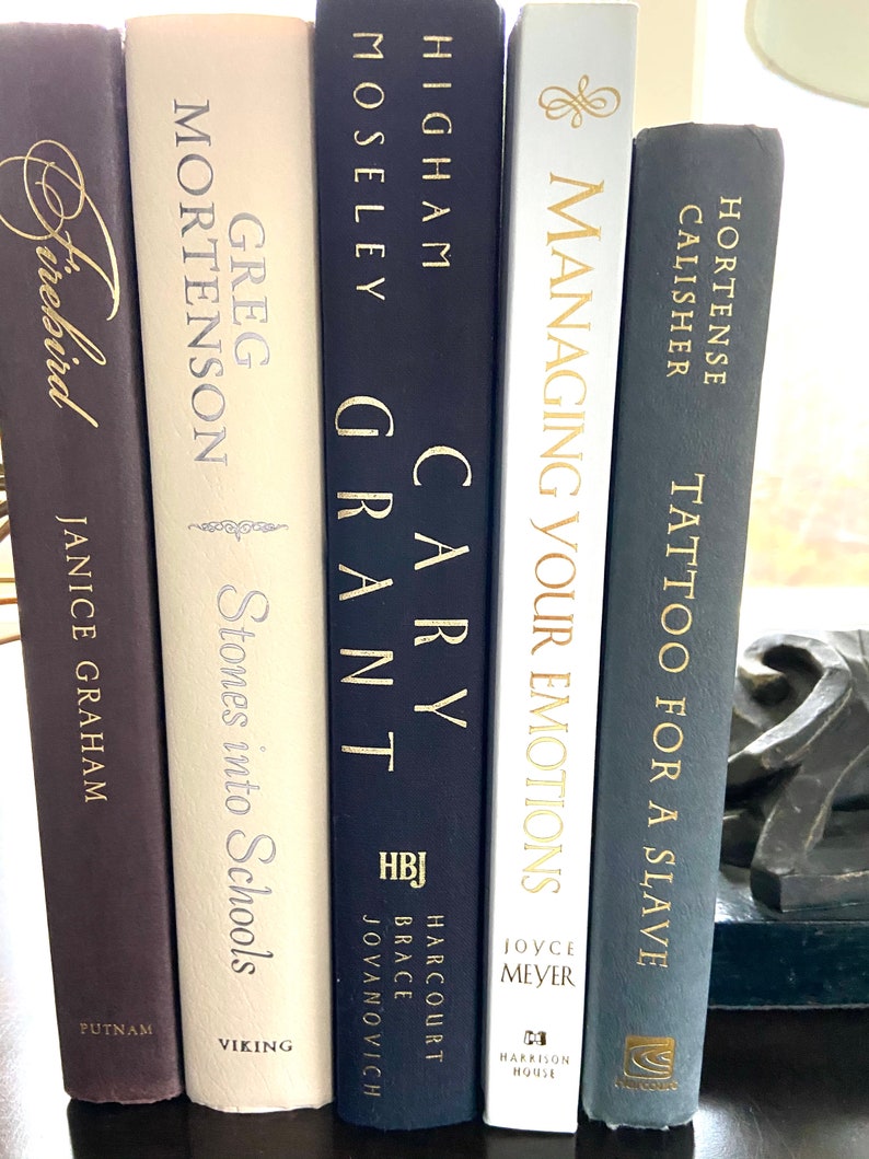 MASCULINE Decorative BOOK SET - 5 Neutral Books for Home Staging ...