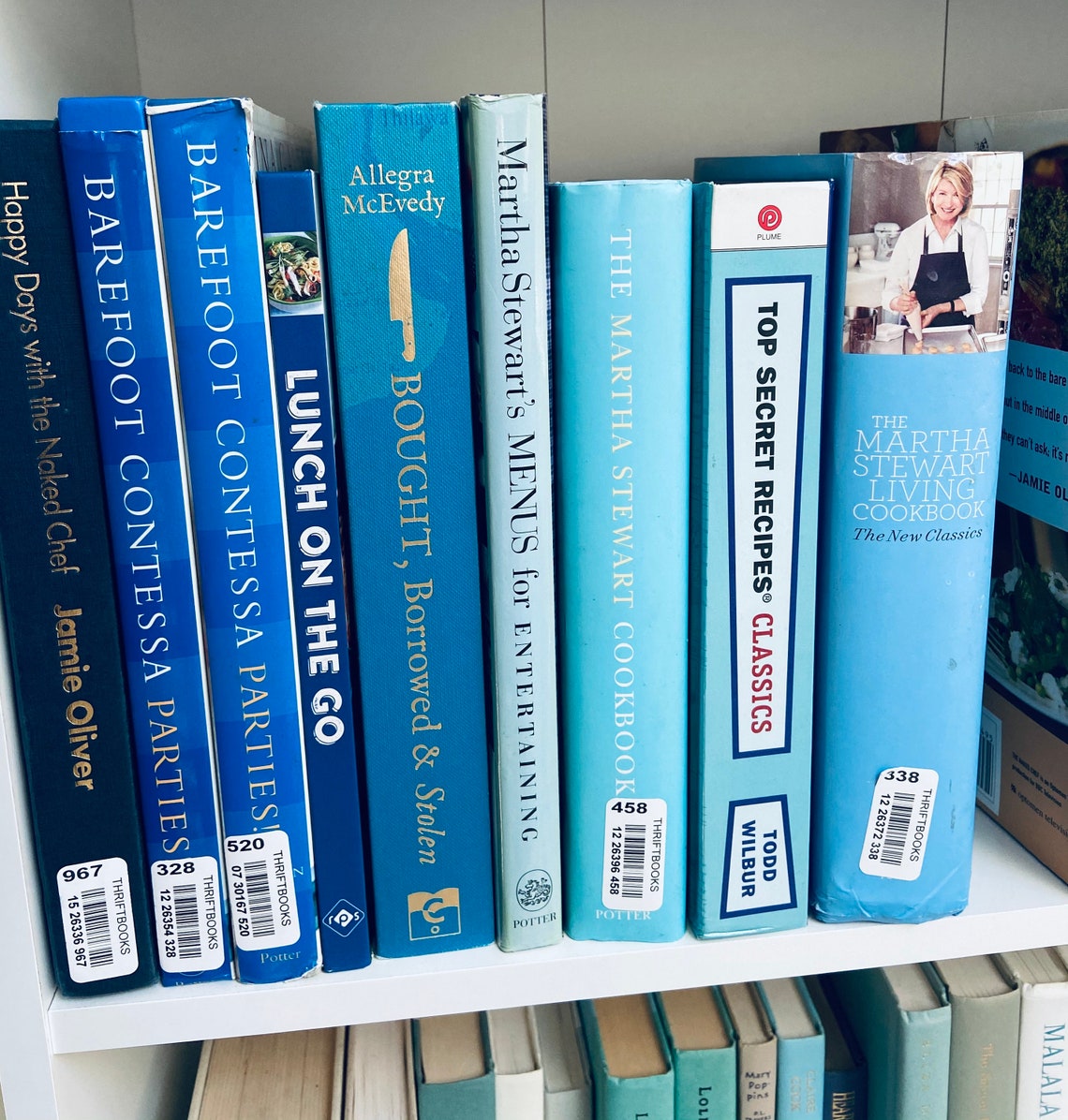 Bookcase of Moody Blues Color Curated Decorative Books - Etsy