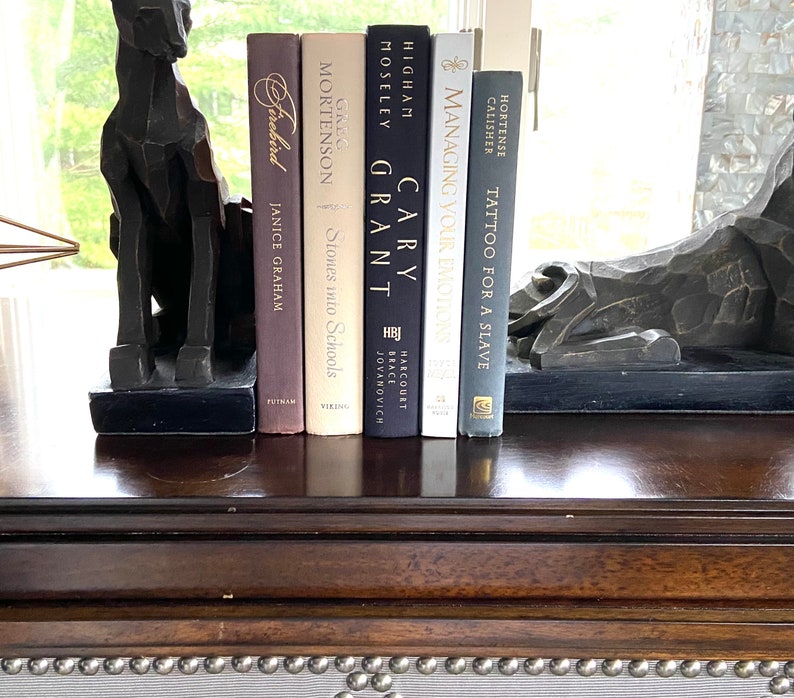 MASCULINE Decorative BOOK SET - 5 Neutral Books for Home Staging ...