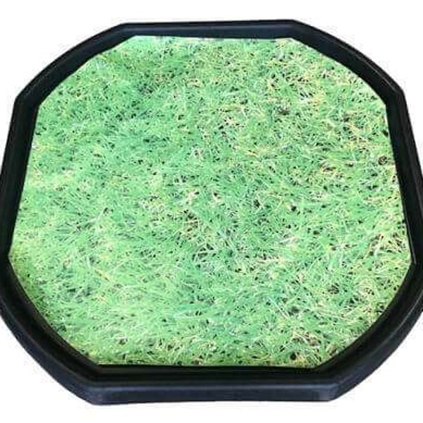 Tuff Tray Insert - Etsy UK