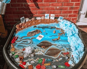 Tuff Tray Insert - Etsy UK