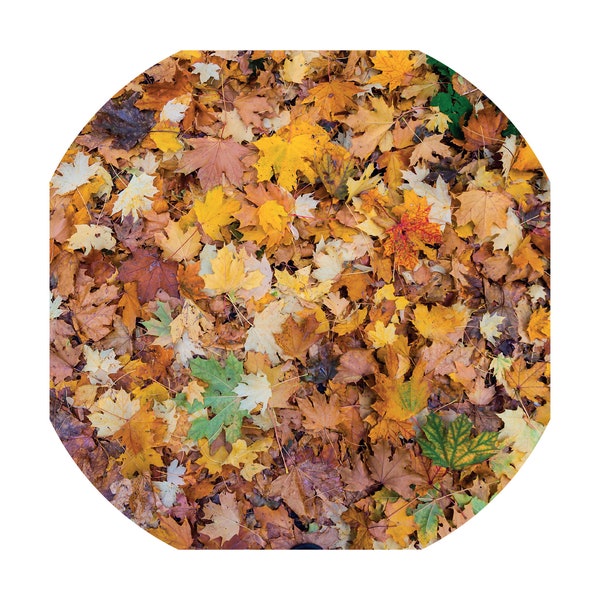 Tuff Tray Insert - Etsy UK