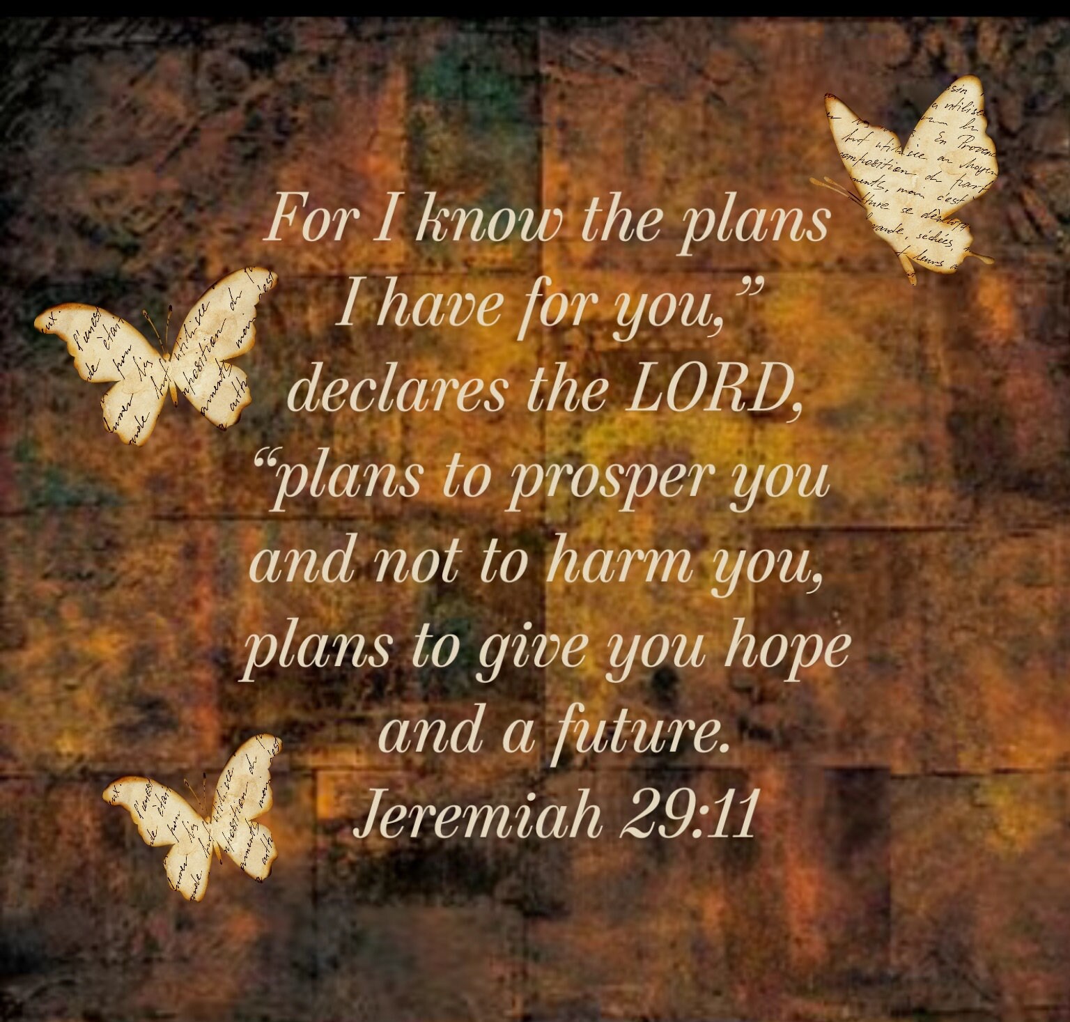 Butterfly Bible Verse Jeremiah 29:11 Inspirational Size 8x10 Home Decor ...