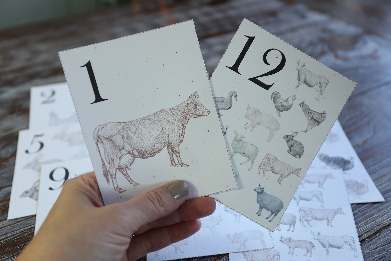 Printable Downloadable Vintage Look Number Flashcards | Homestead Farm ...