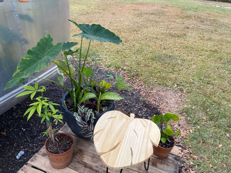 Monstera Leaf Table | Etsy