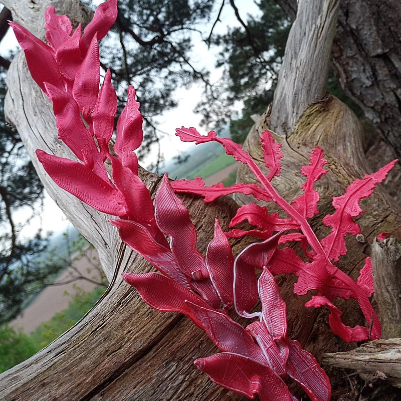 Cherry Cosplay 4 - Etsy UK