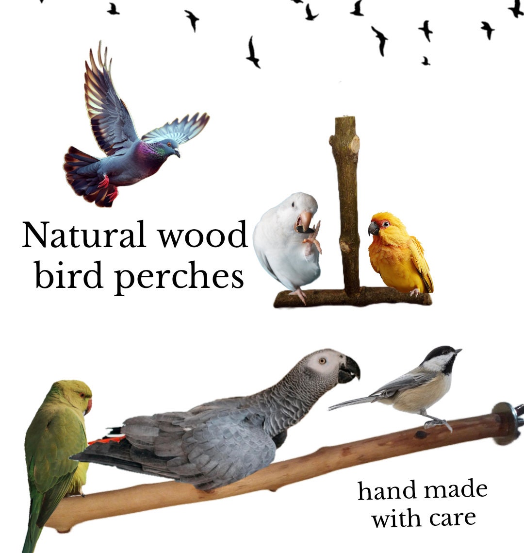 Pet Bird Perches, Cage Perches Natural Wood, Rocking T Perch , Straight ...