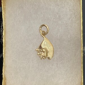 14kt Solid Gold Mini Conch Shell Pendant (2cm) - Etsy