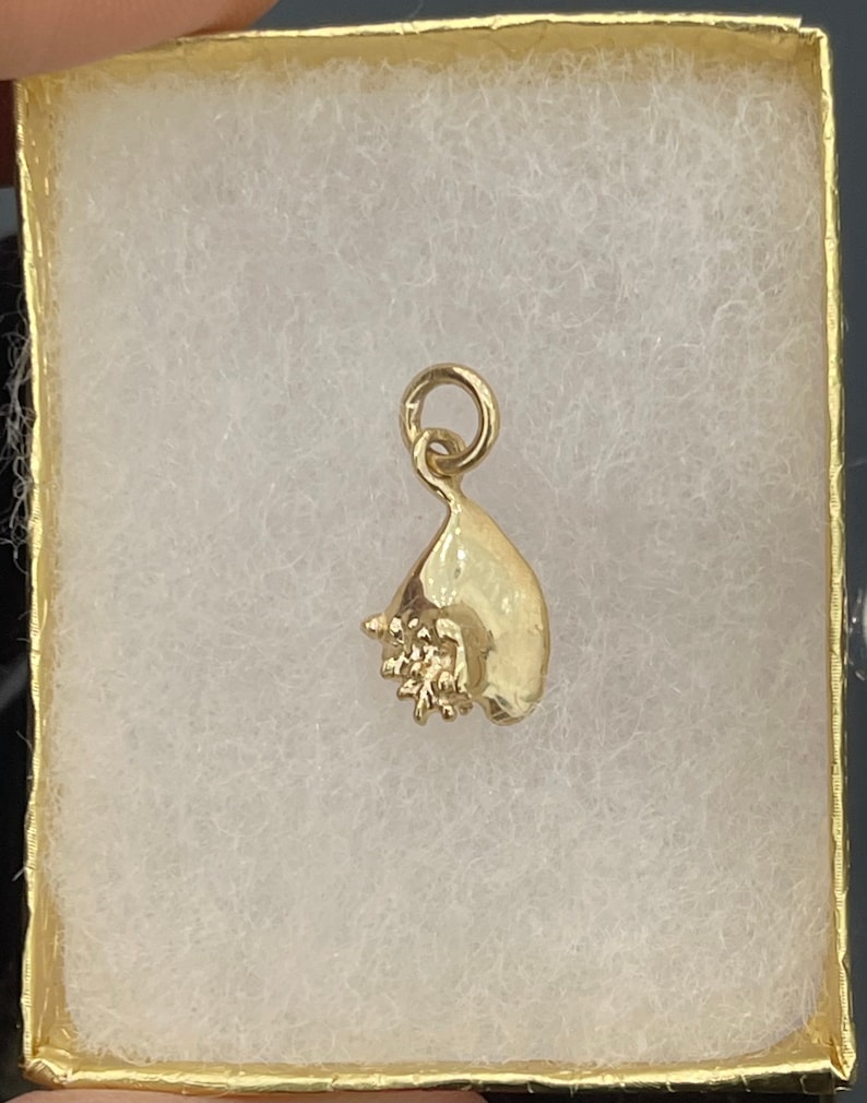 14kt Solid Gold Mini Conch Shell Pendant (2cm) - Etsy