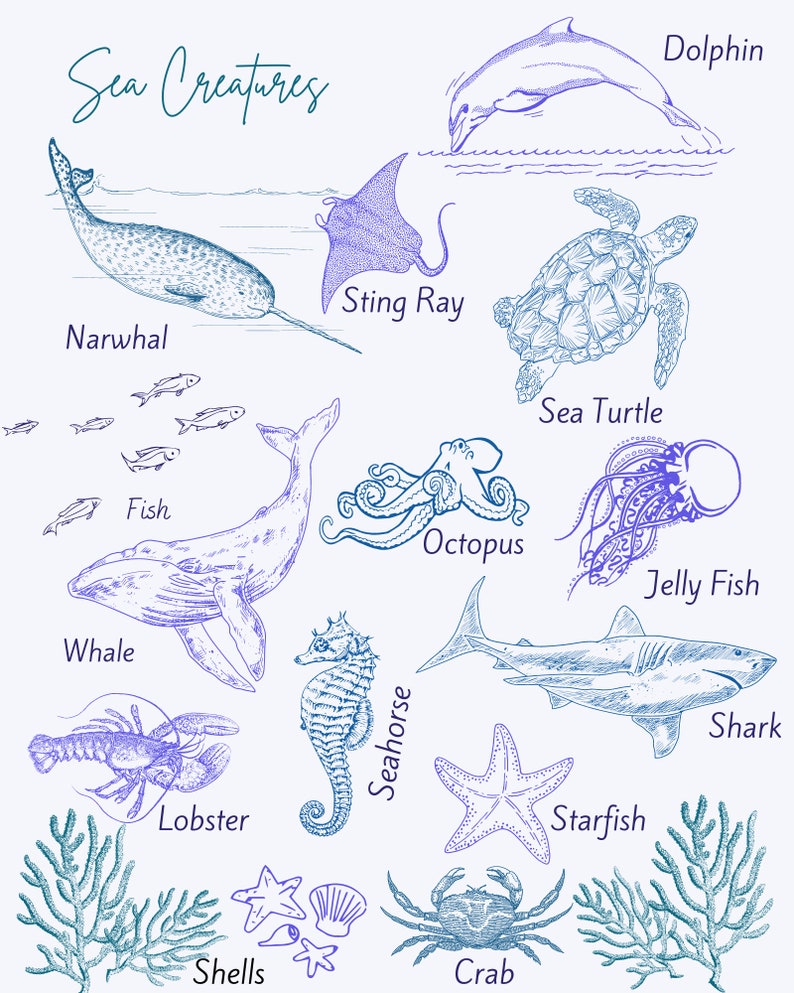 Sea Creatures Poster - Etsy