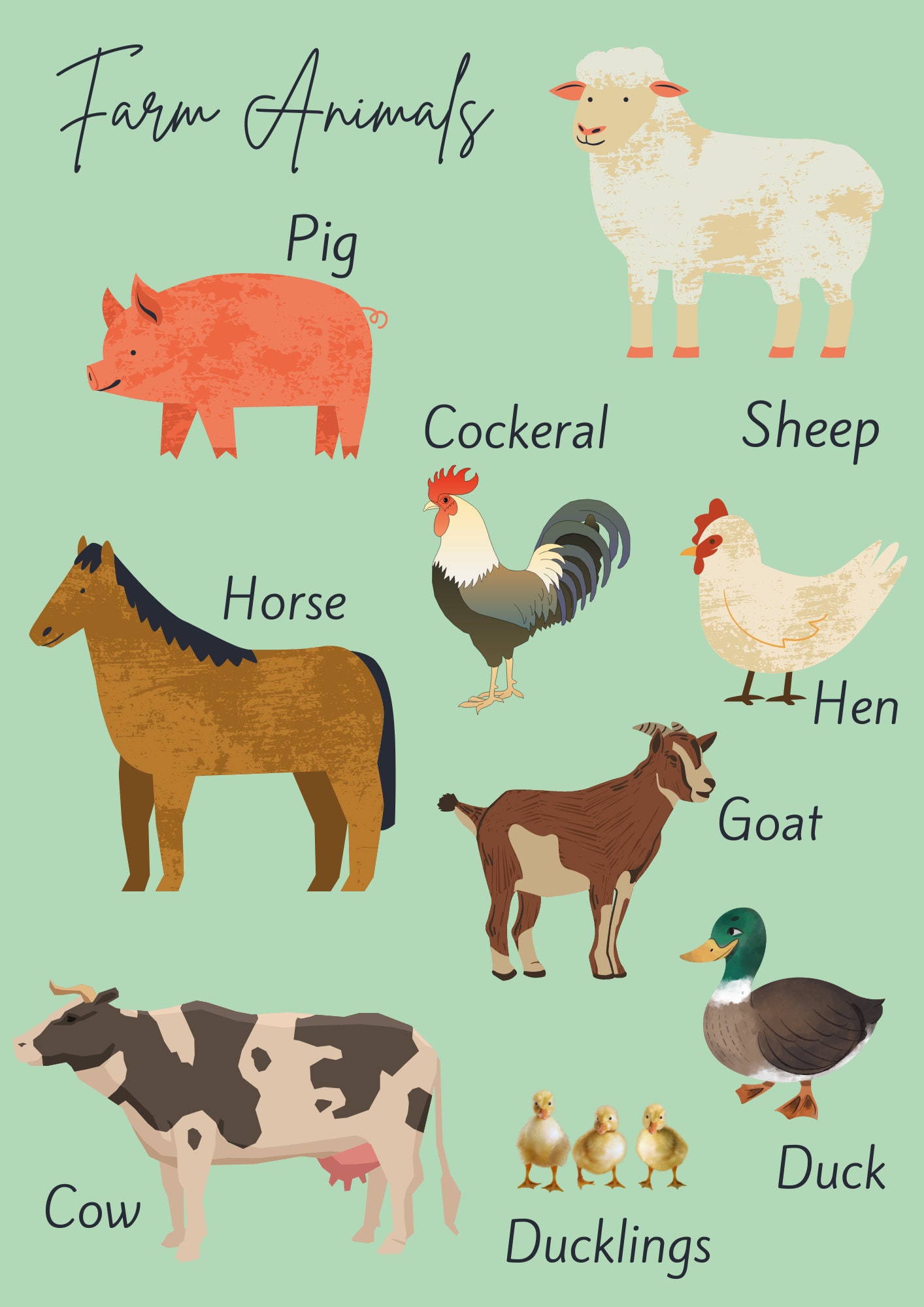Farm Animal Educational Poster A4 - Etsy