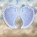 Angel Wings Crochet Pattern DE/EN: PDF Wings Ecological, Pair of Wings ...