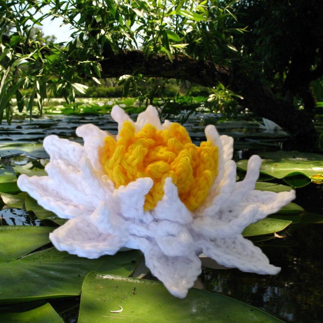 Crochet Pattern Water Lily for Beginners EN/DE: Lily Pad Crochet, PDF ...